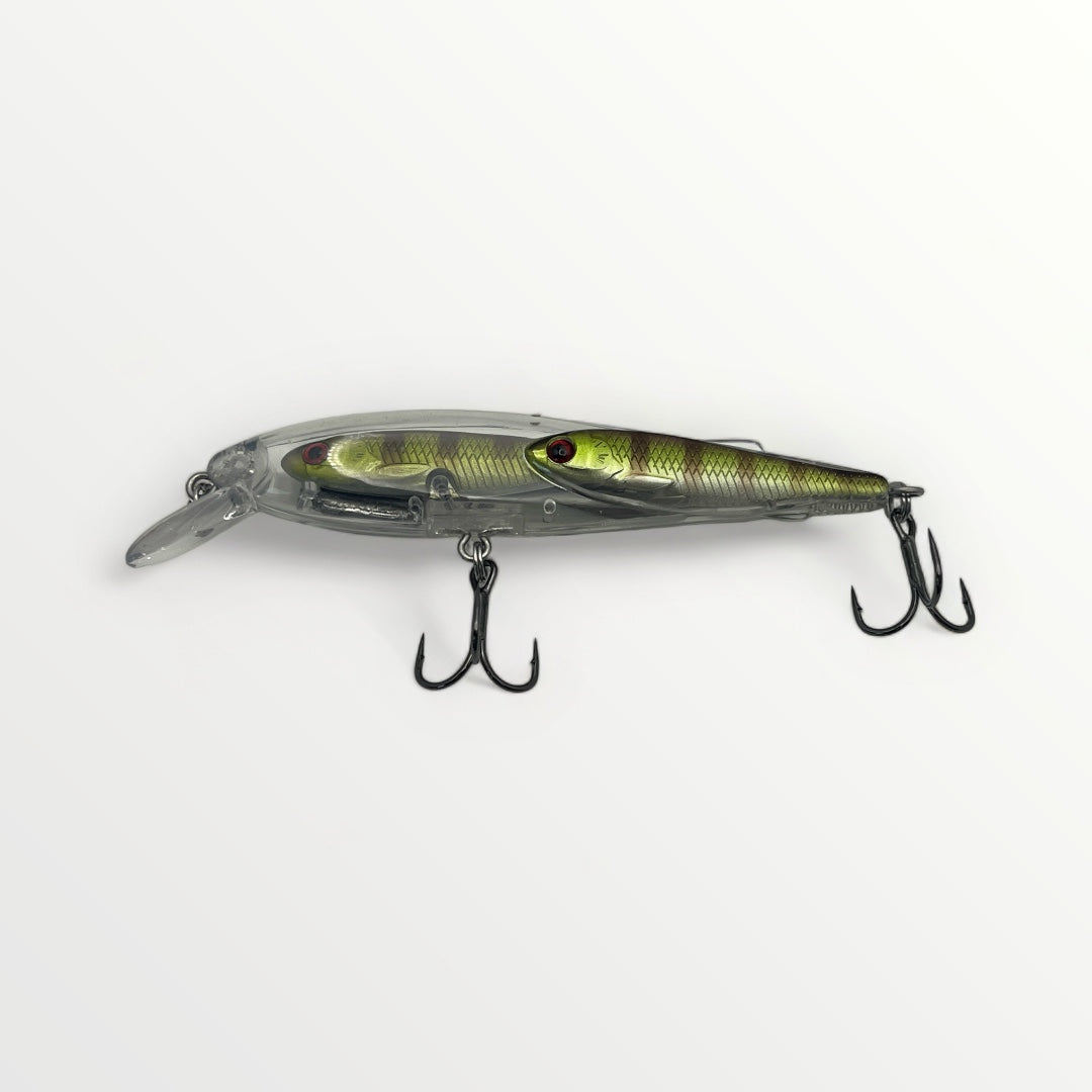 LES POISSONS 3D 11G – PROPECHE