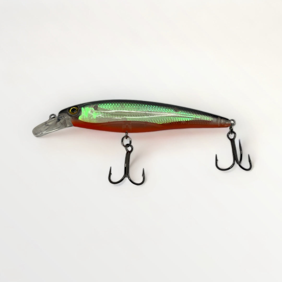 POISSONS NAGEURS - LUMINOUS – PROPECHE