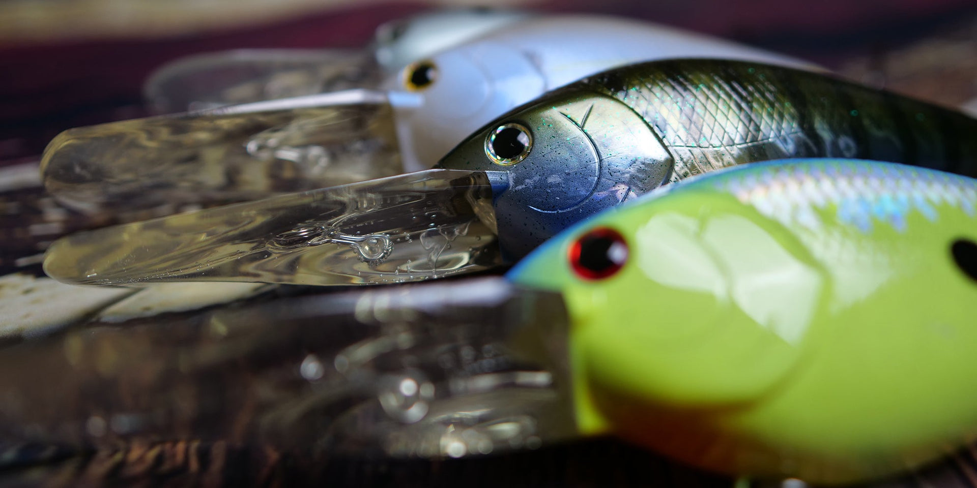 LEURRES – PROPECHE